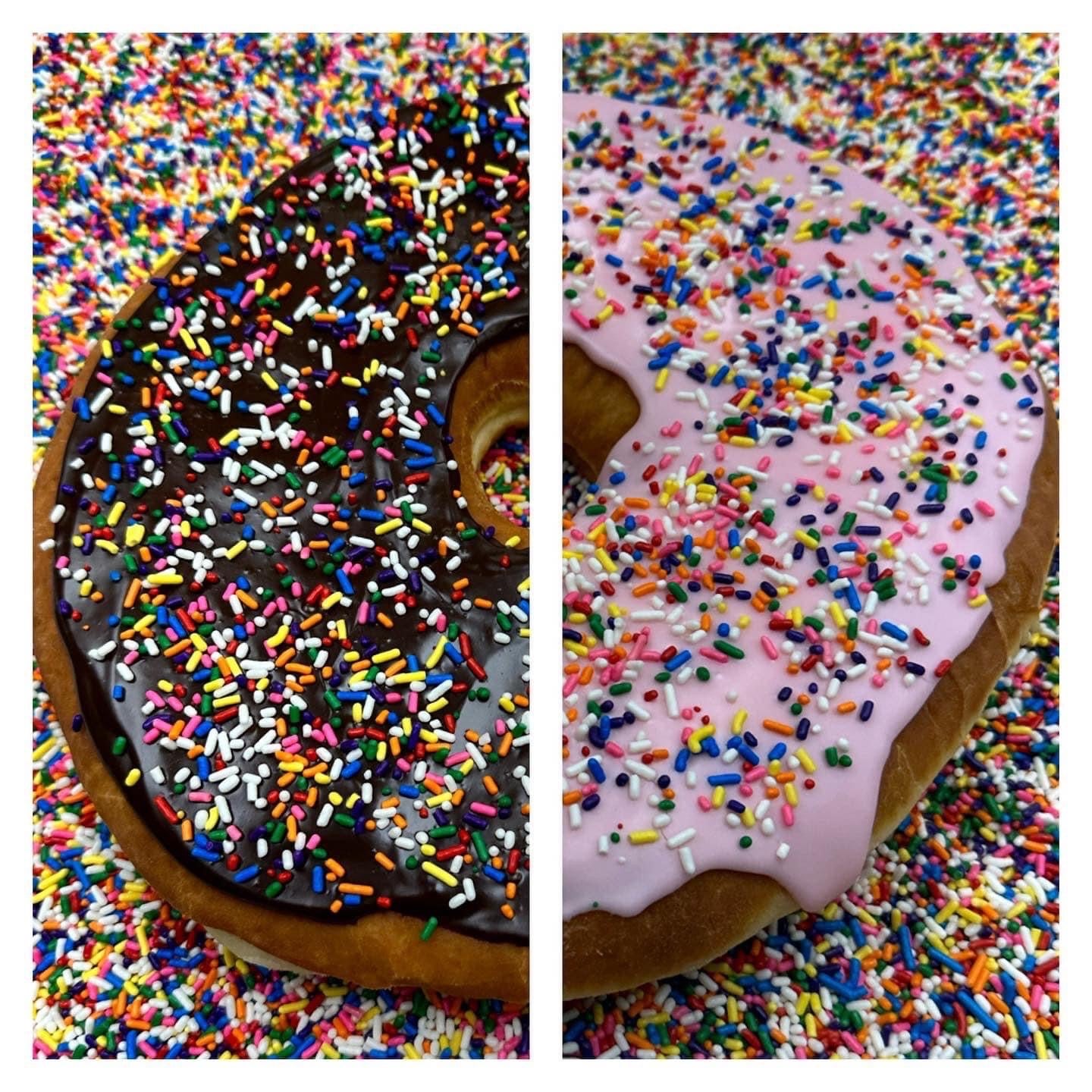 Whale Size Donut | Thirsty Whale Bakery